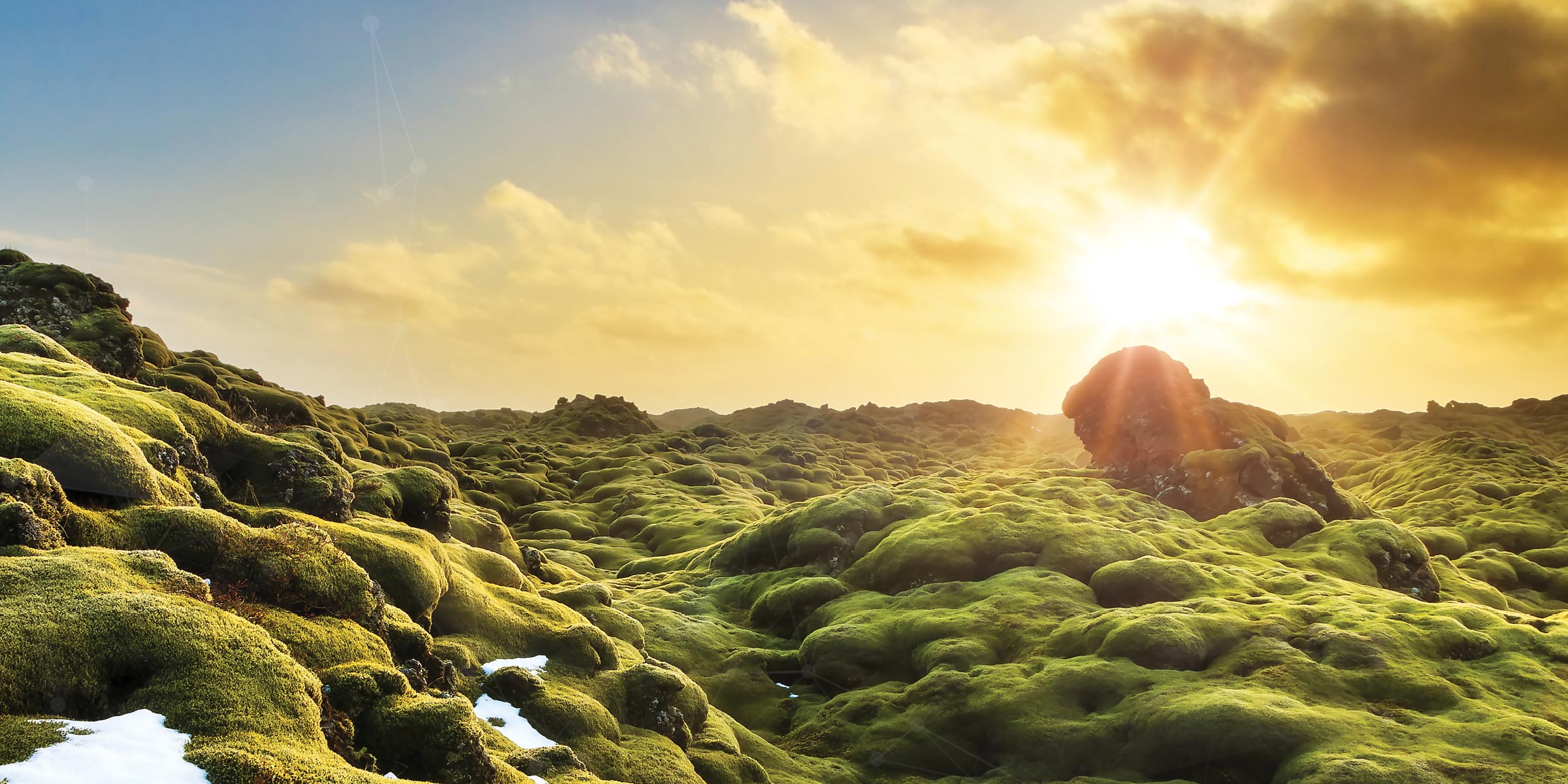 European Association of Geoscientists & Engineers | GeoScienceWorld